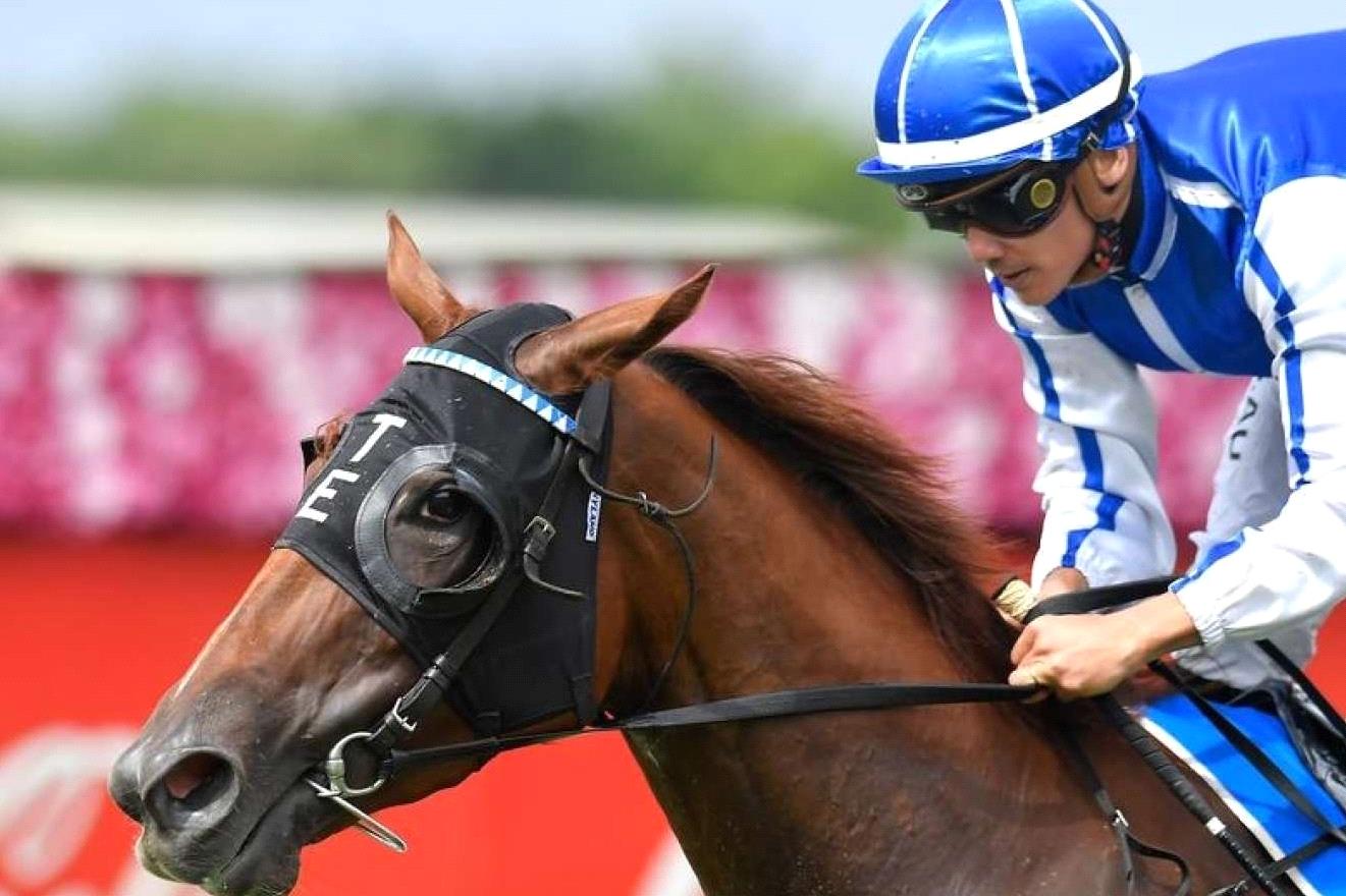 McGillivray and Vanna Girl back with big fish to fry - Racenet