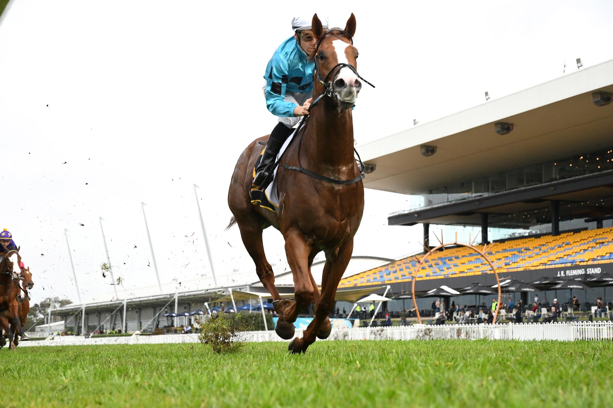 Rosebud winner 'as fast a horse as Ciaron has got' - Racenet