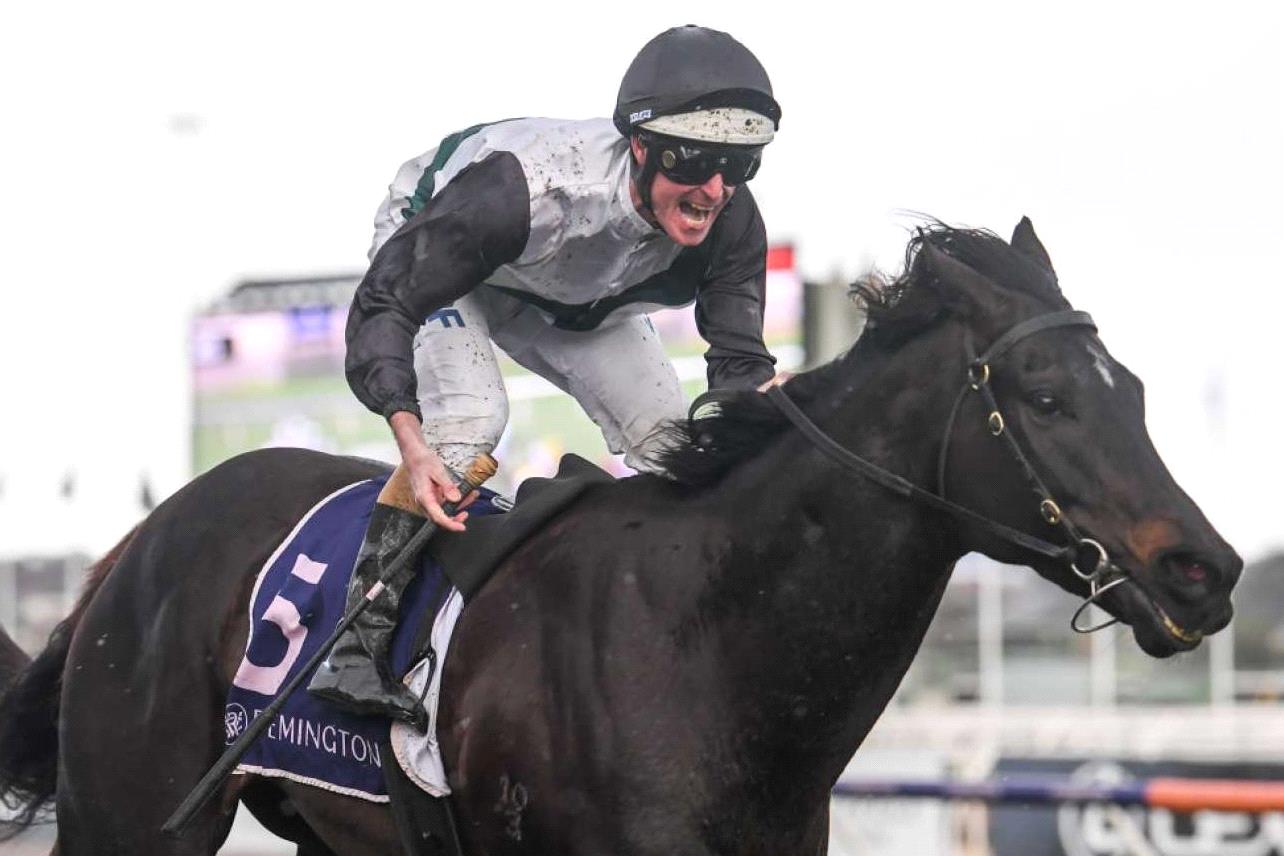 So Si Bon back for more in Aurie's Star Handicap - Racenet