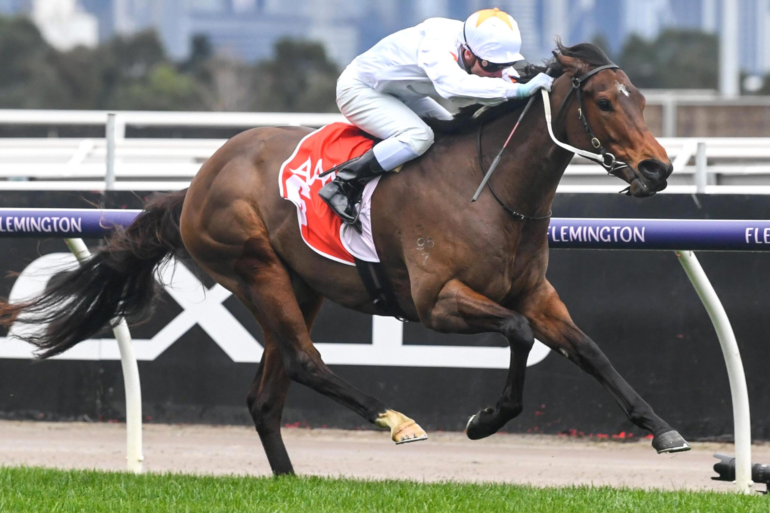 Spring off the table for talented filly - Racenet