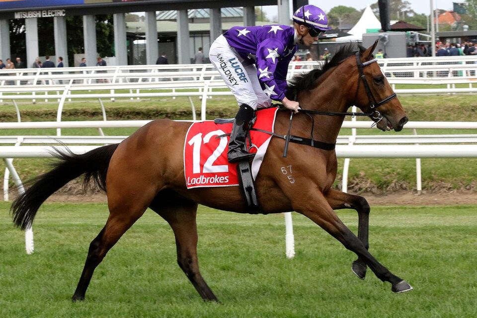 2019 Australian Derby field and barrier draw - Racenet