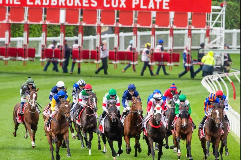 Cox Plate and Victoria Derby days wait for AFL to make its move - Racenet