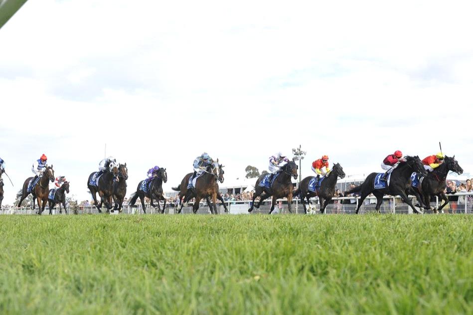 France Galop still planning racing restart - Racenet