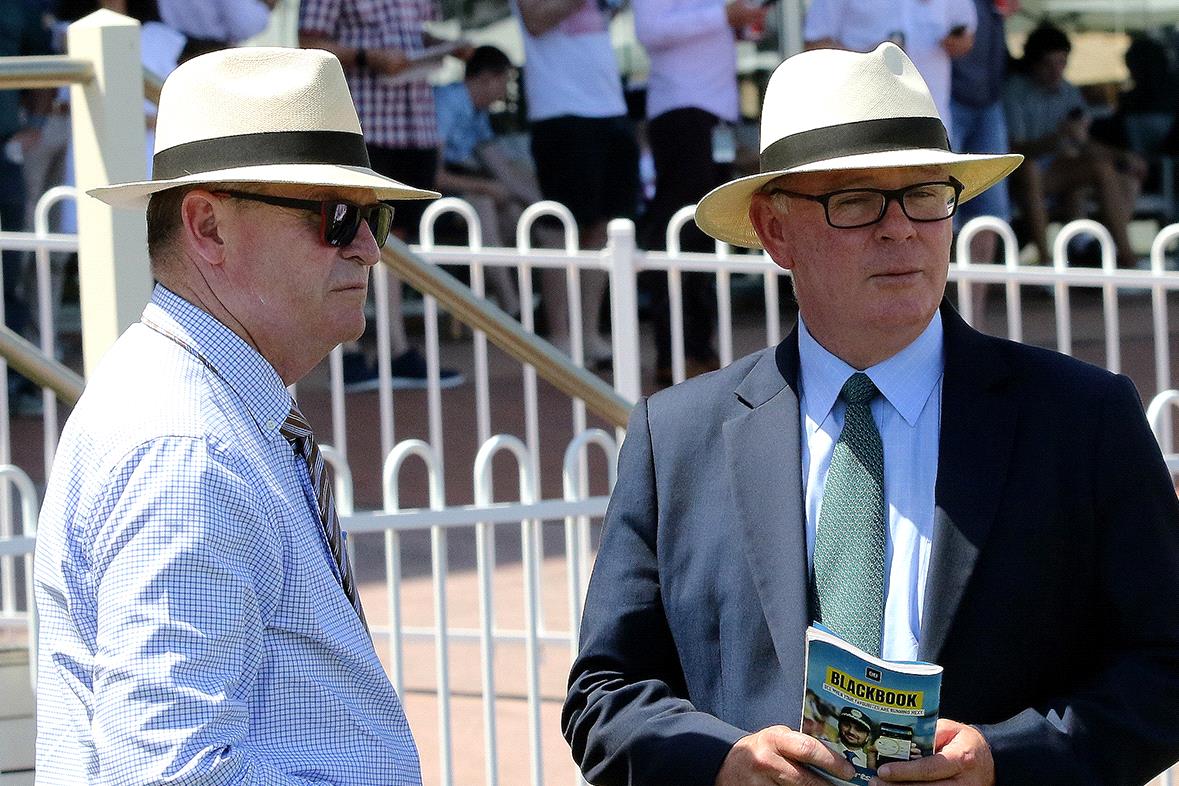 RV integrity boss confirms Melham won't be stood down - Racenet