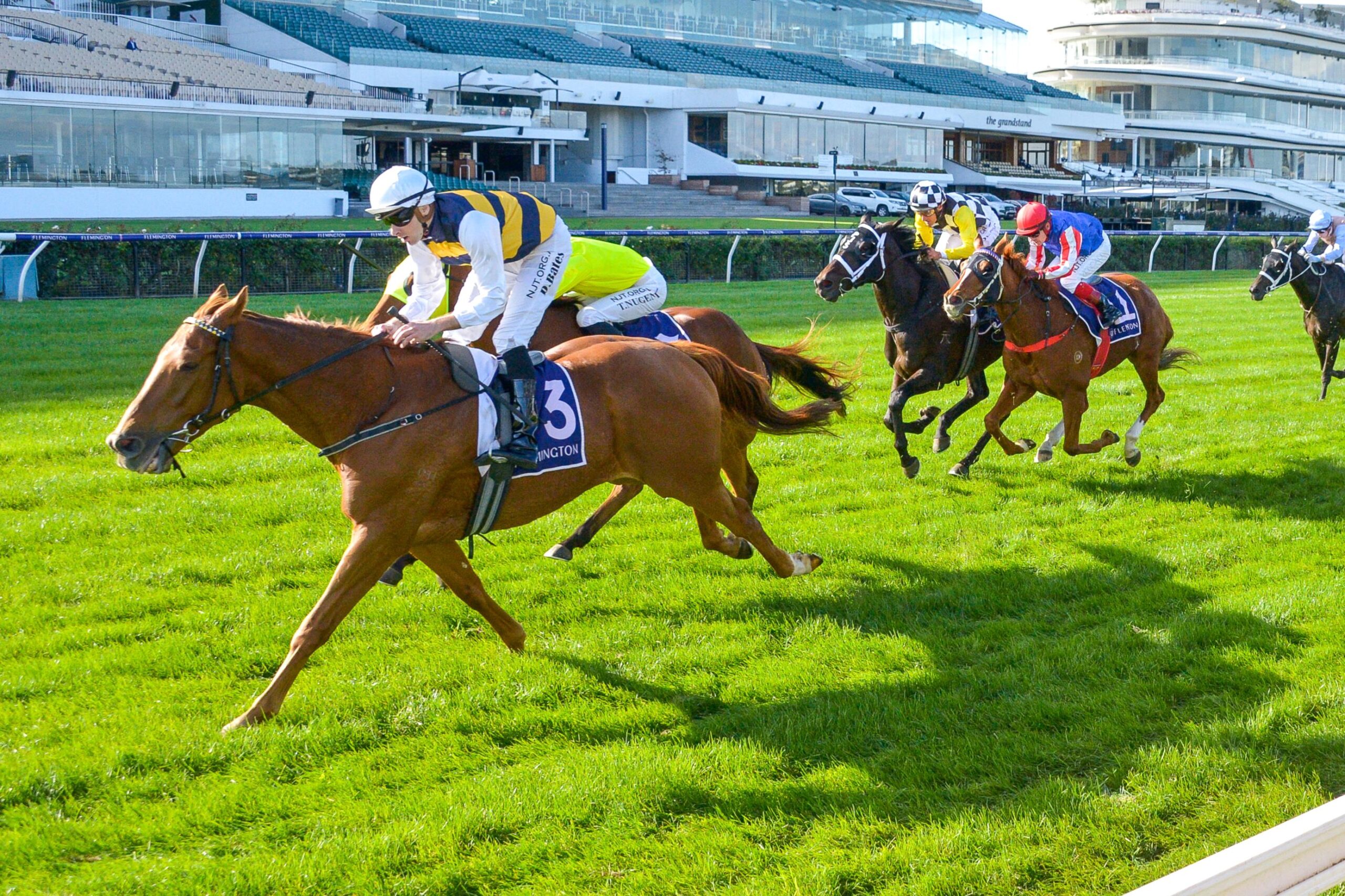 Haky casts Vow And Declare into the shade at Flemington - Racenet