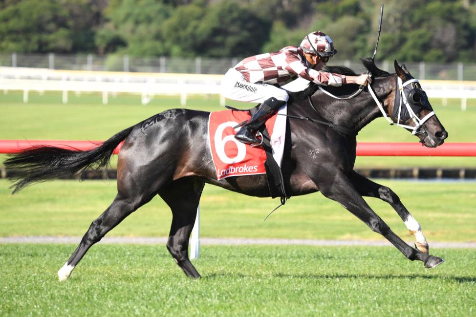 Jack Regan ready for massive task at Flemington - Racenet