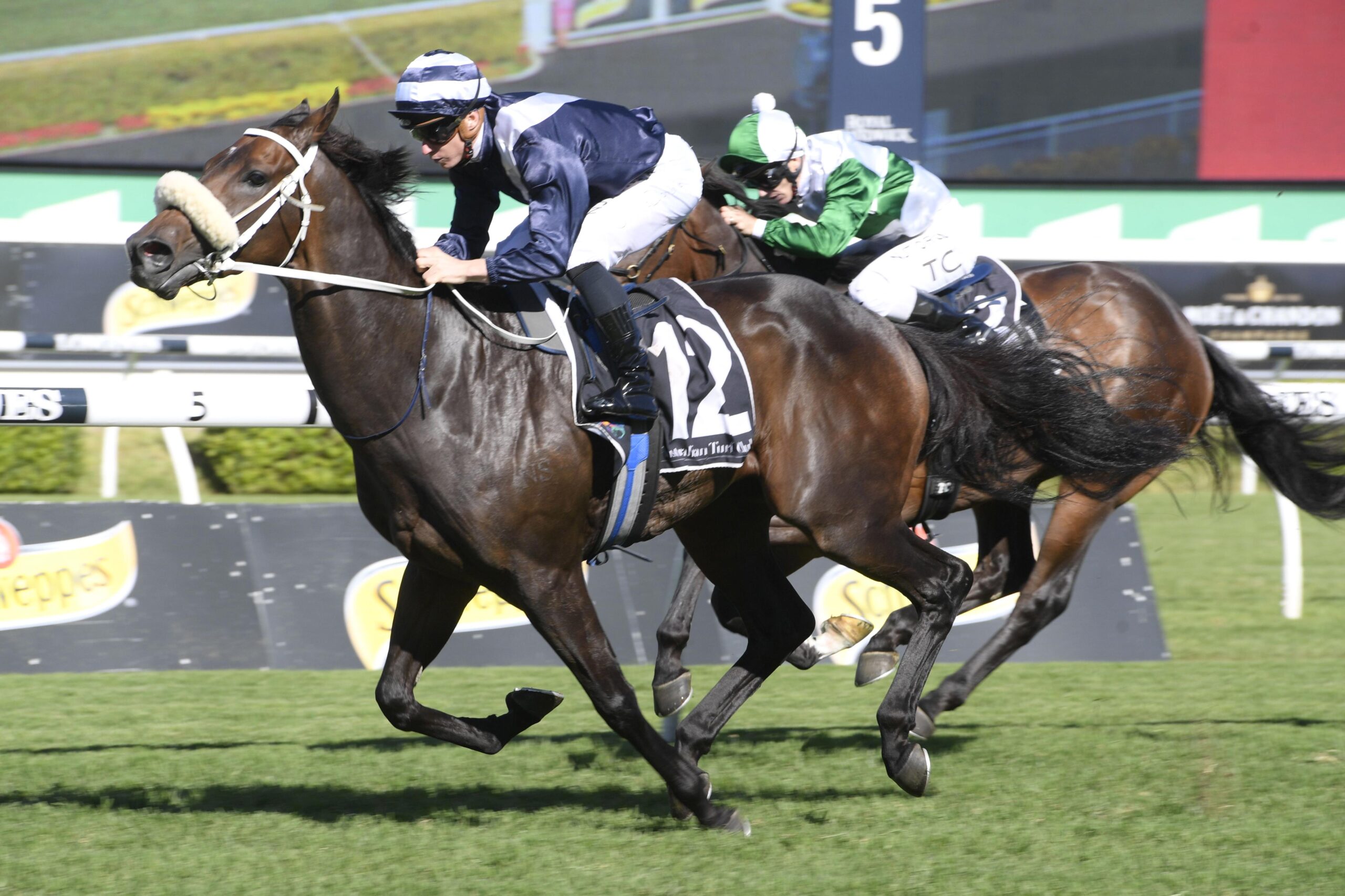 Kinane wins Frank Packer Plate for Waller - Racenet