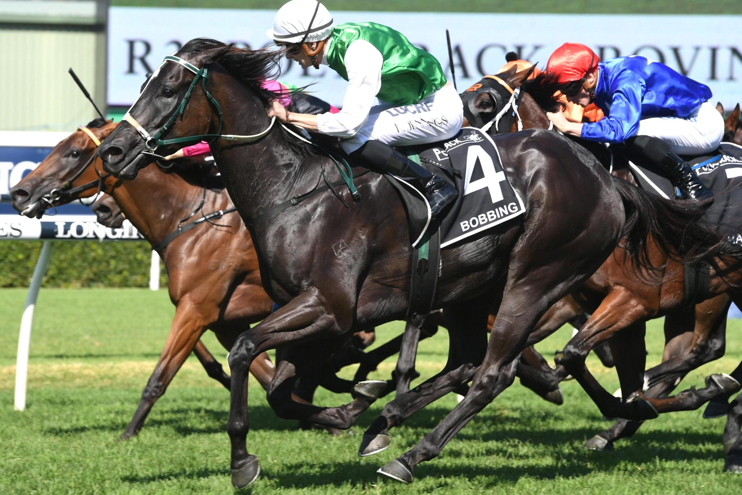 Greg Polson previews the 2020 Country Championships Final - Racenet