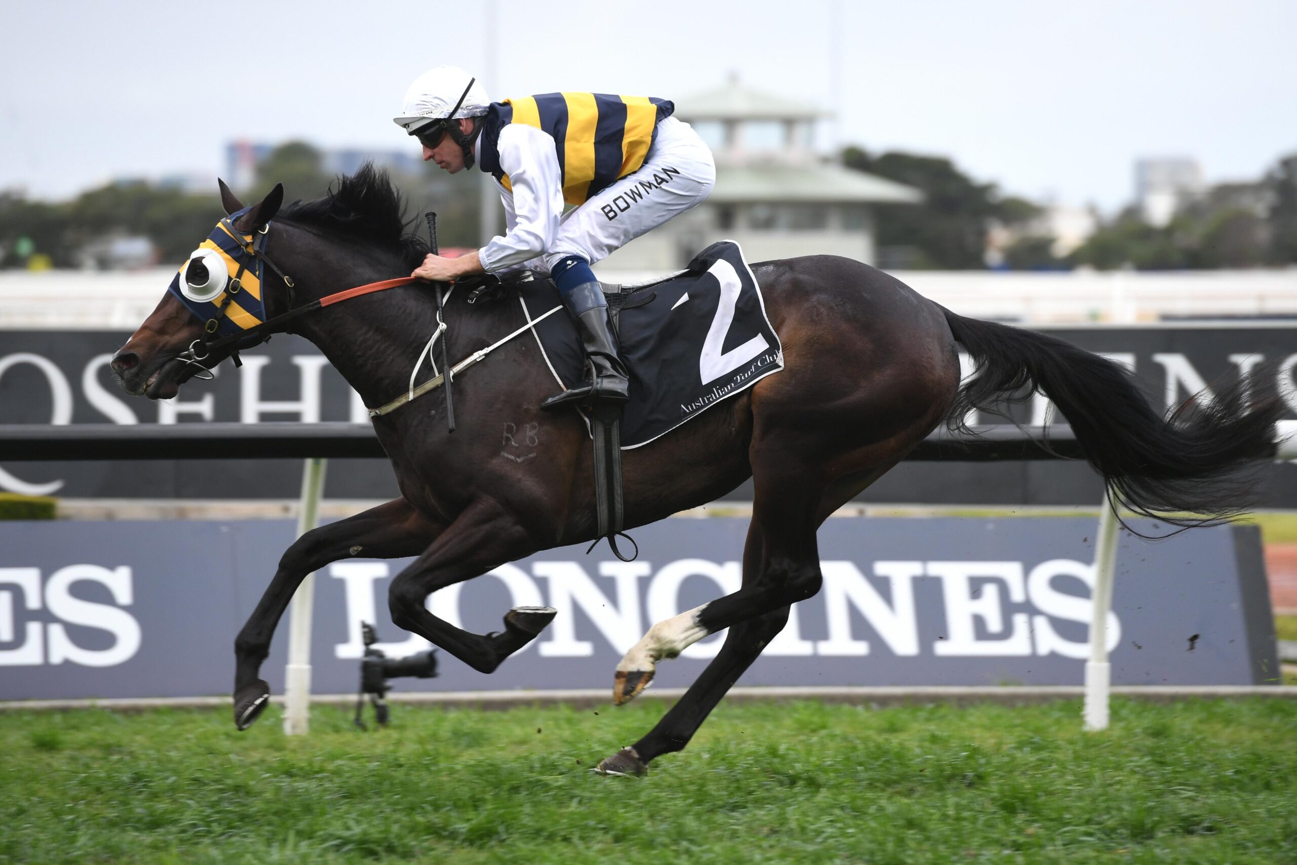 COVID-19 forces well-known Kiwi stable to temporarily shut - Racenet