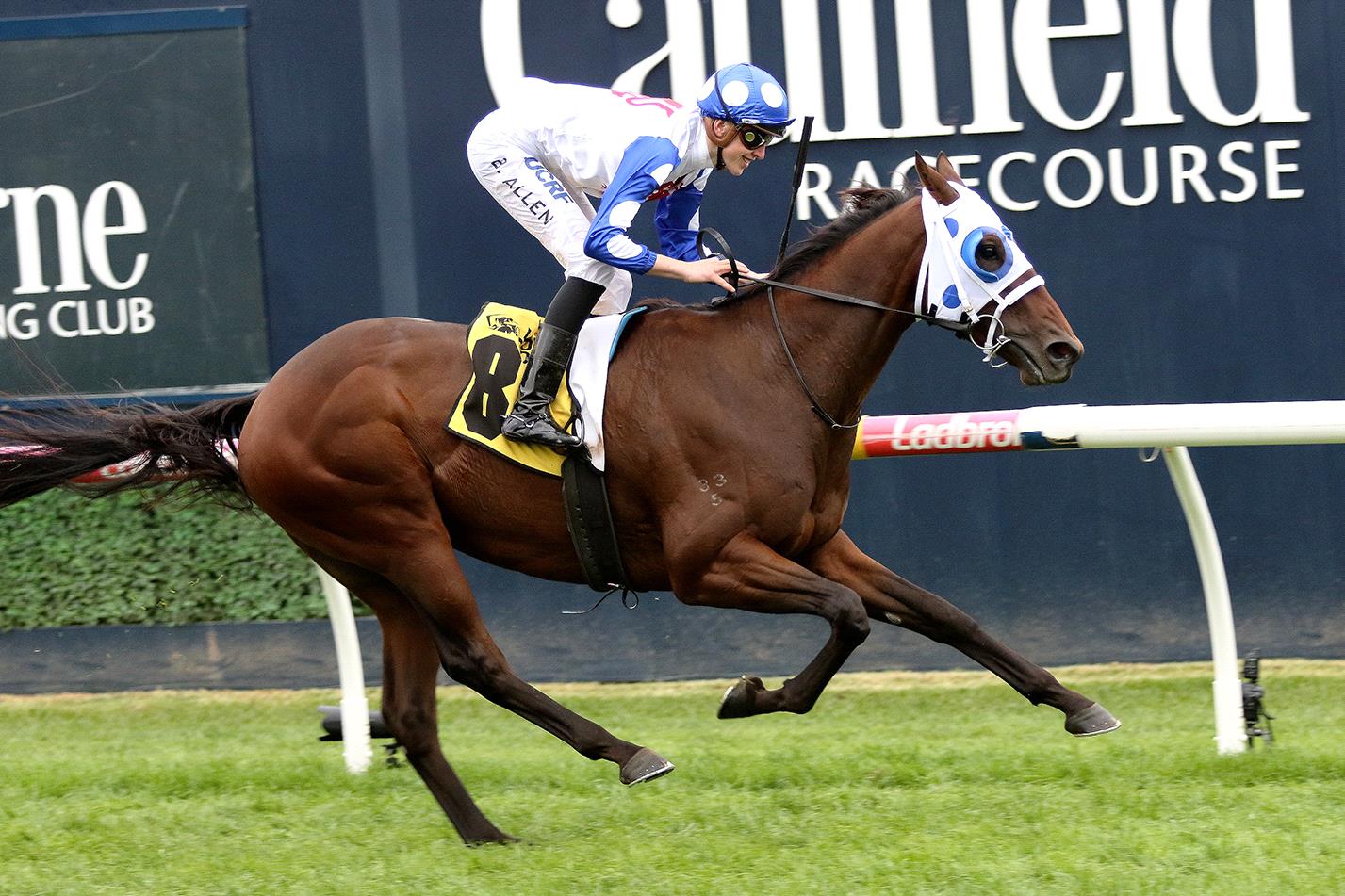 Mr Quickie set for All-Star Mile first-up - Racenet