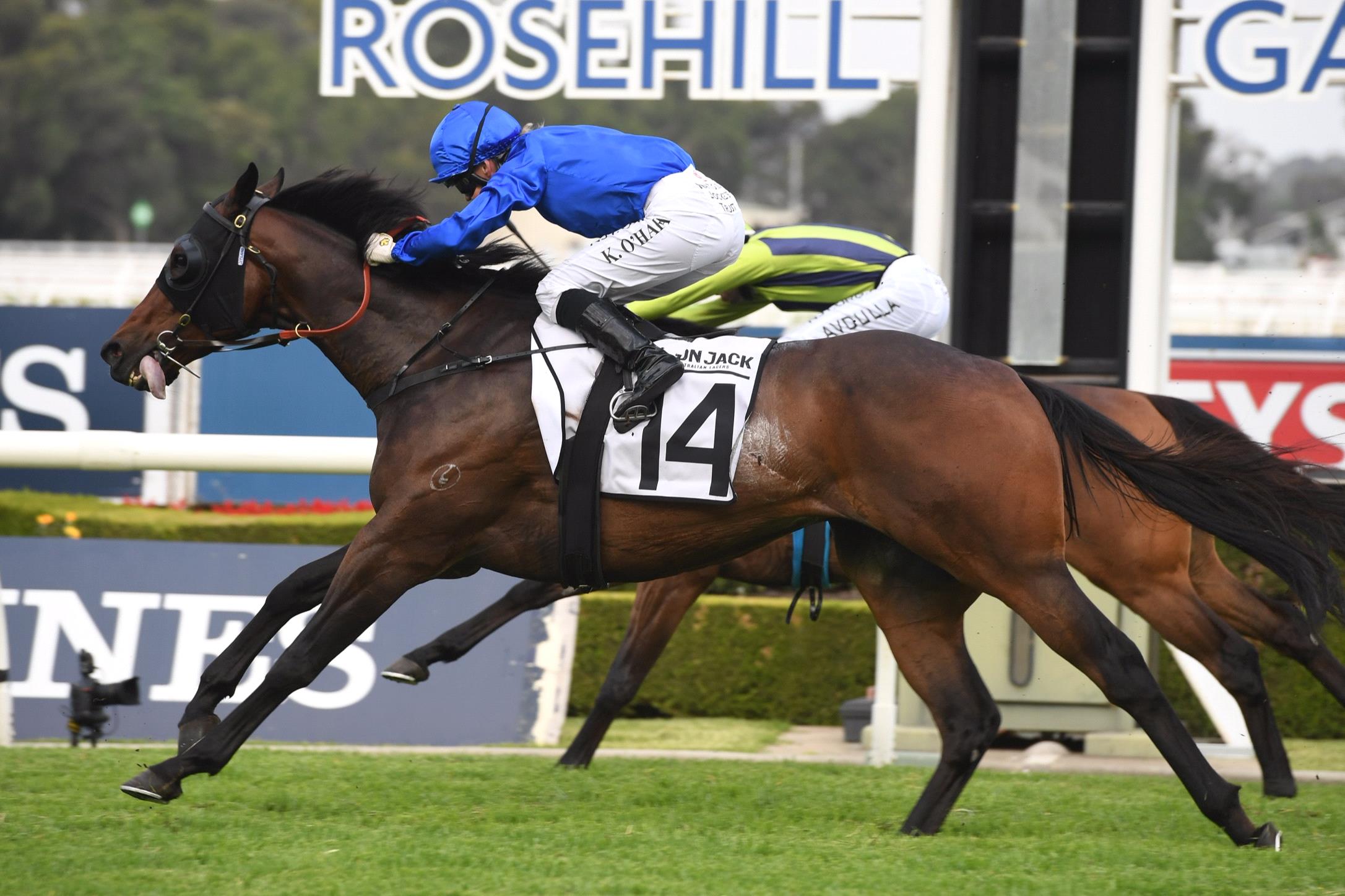 New rider for Ranier in the Villiers Stakes - Racenet