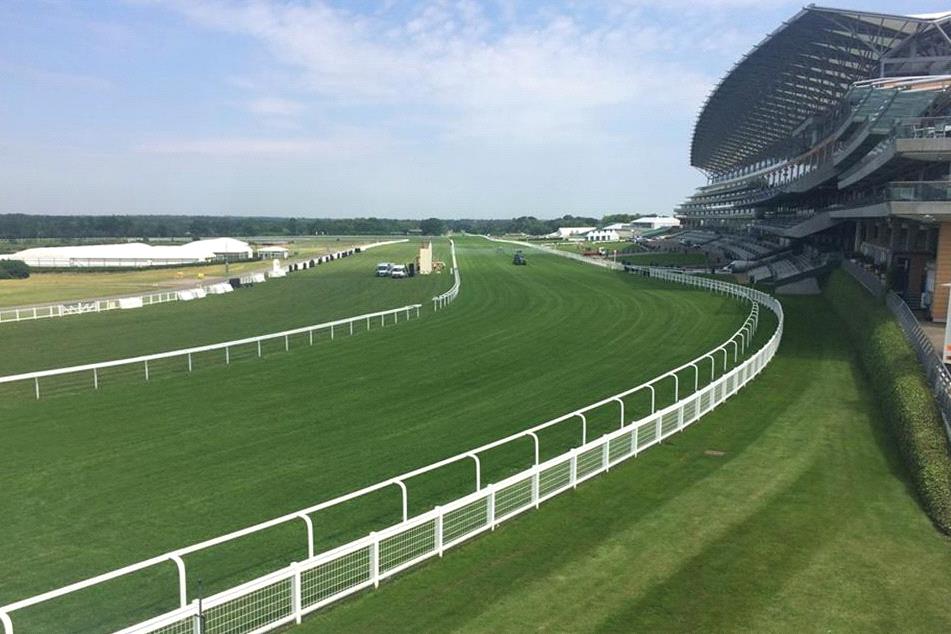 Racing returns to the city & second week of Perth Carnival - Racenet