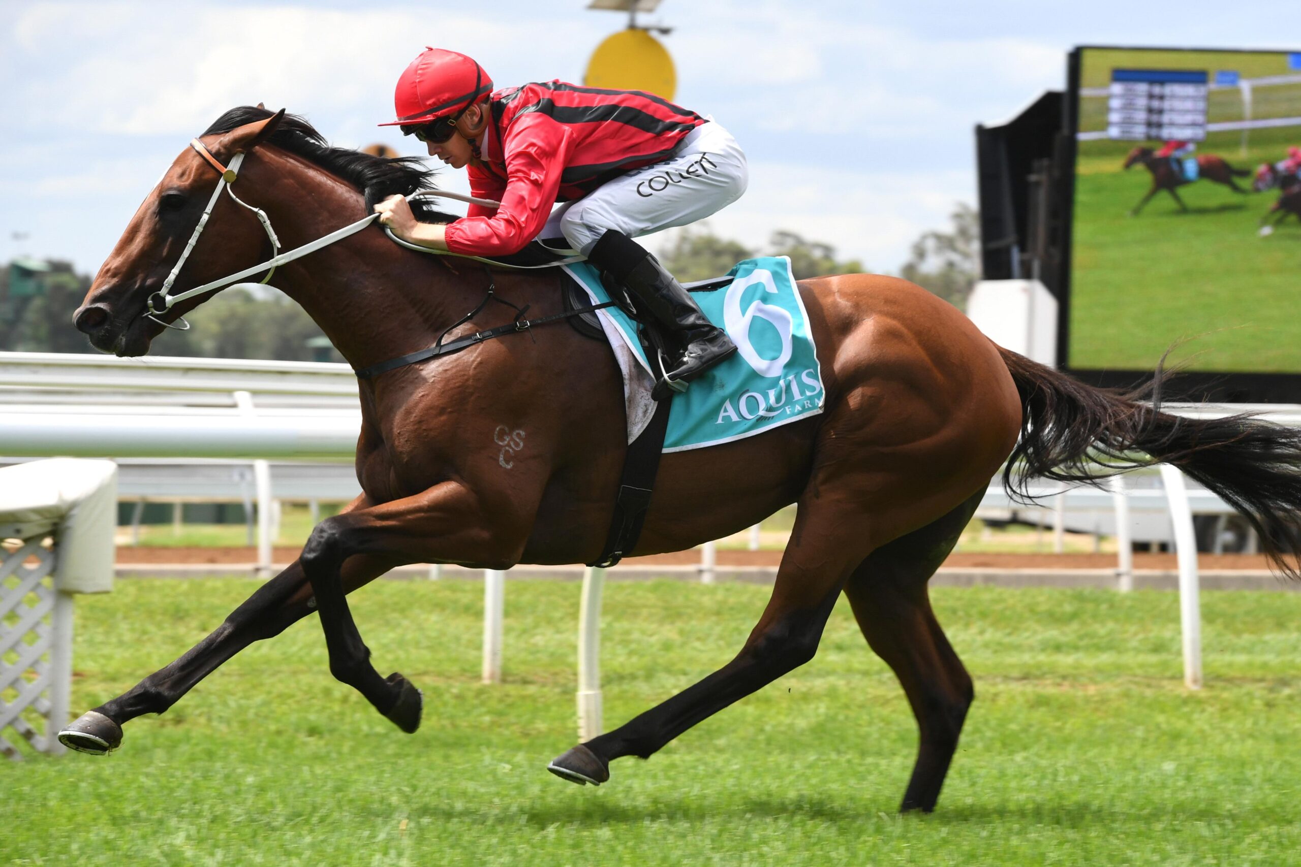 Gem Song out of 2019 Hobartville Stakes - Racenet