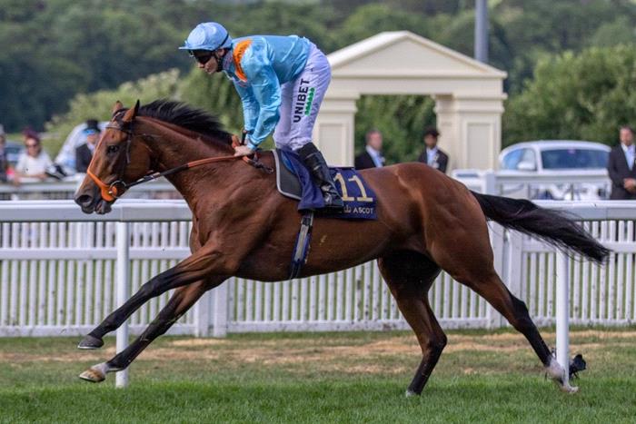 Raymond Tusk's owners going it alone on Melbourne Cup chase - Racenet