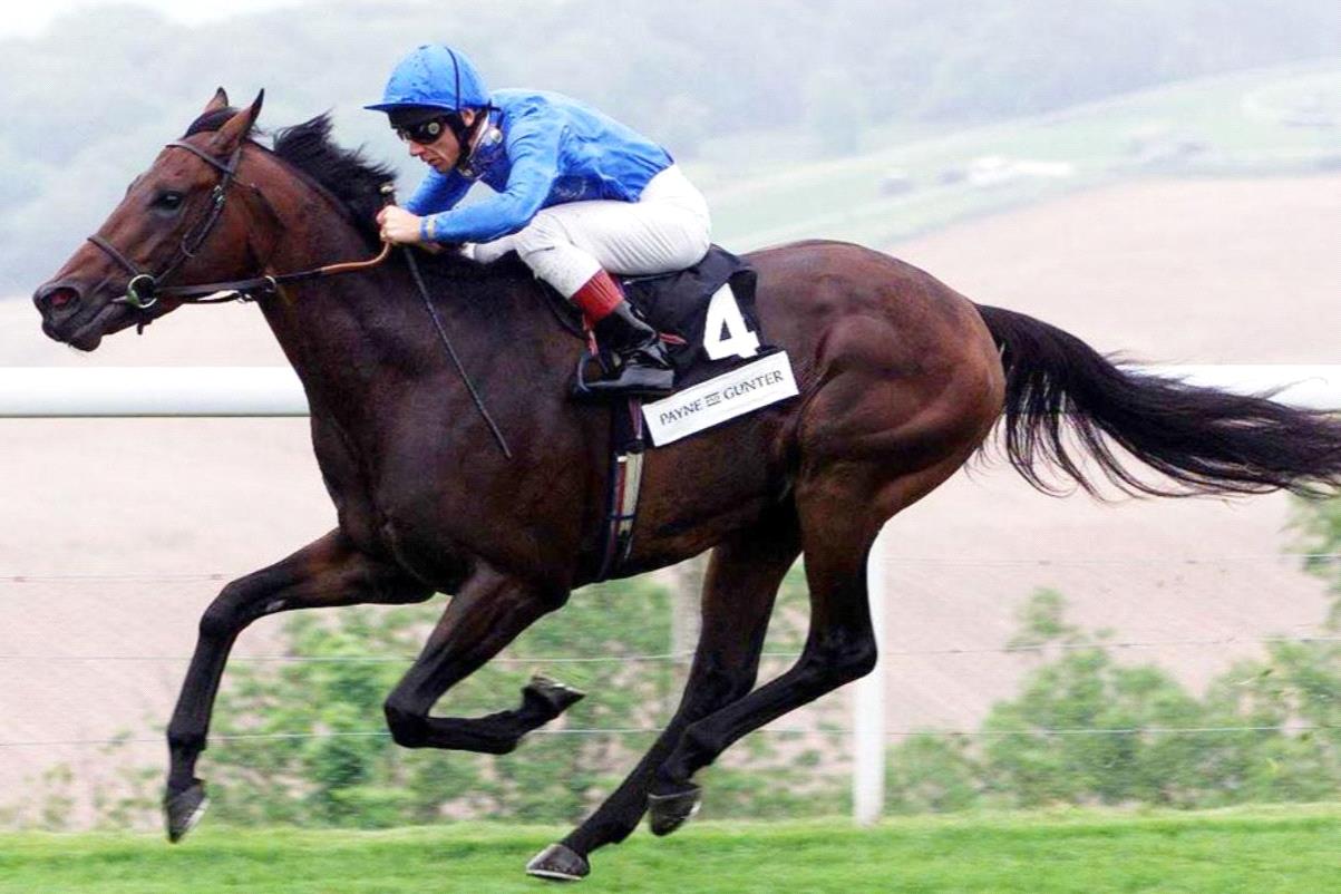 Alizee set to join those in Godolphin Blue rare air - Racenet