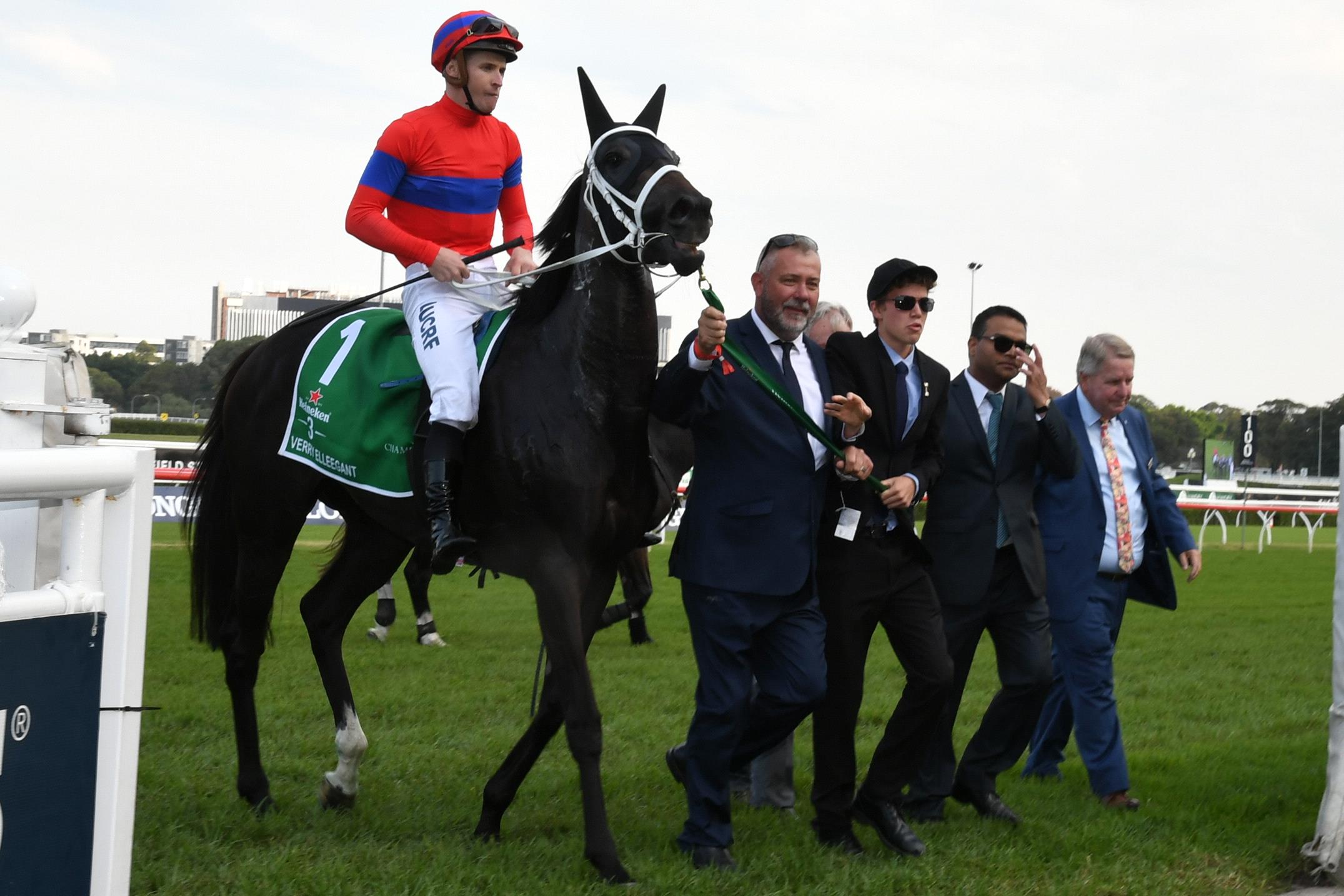 Verry Elleegant and other stars on show at Warwick Farm trials - Racenet