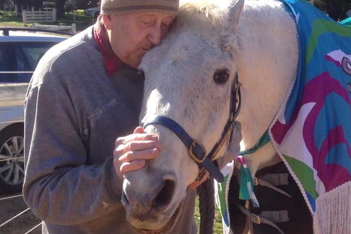 Melbourne Cup hero Subzero fighting off colic - Racenet