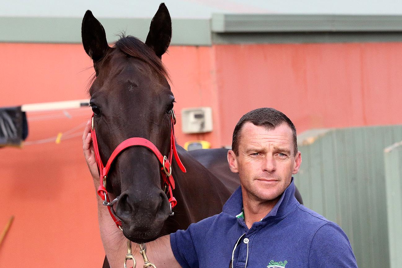 Mystic Journey to start Cox Plate build-up in trial - Racenet