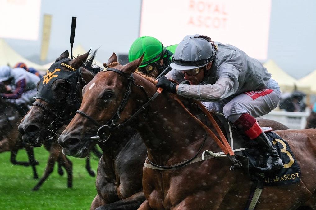 Raffle Prize edges Queen Mary Stakes - Racenet