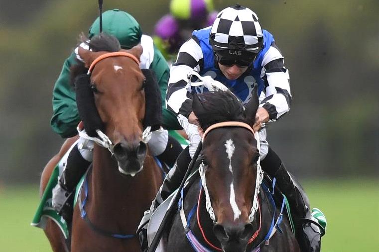 Princess Posh gets thumbs up for Tatts Tiara - Racenet