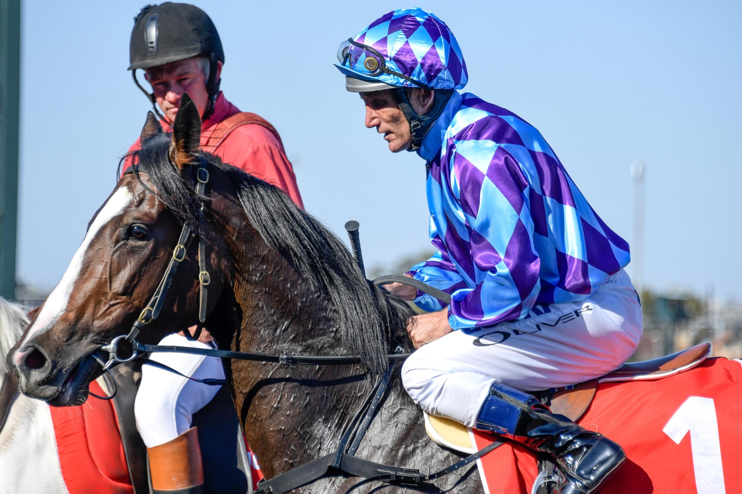 Princess Jenni wins the Schweppes Oaks – Result and Replay - Racenet