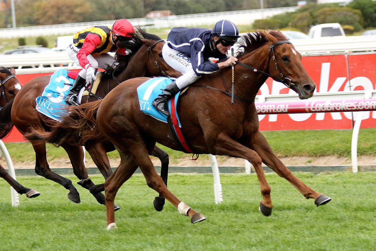 Widgee Turf becomes a millionaire in VOBIS Gold Mile - Racenet