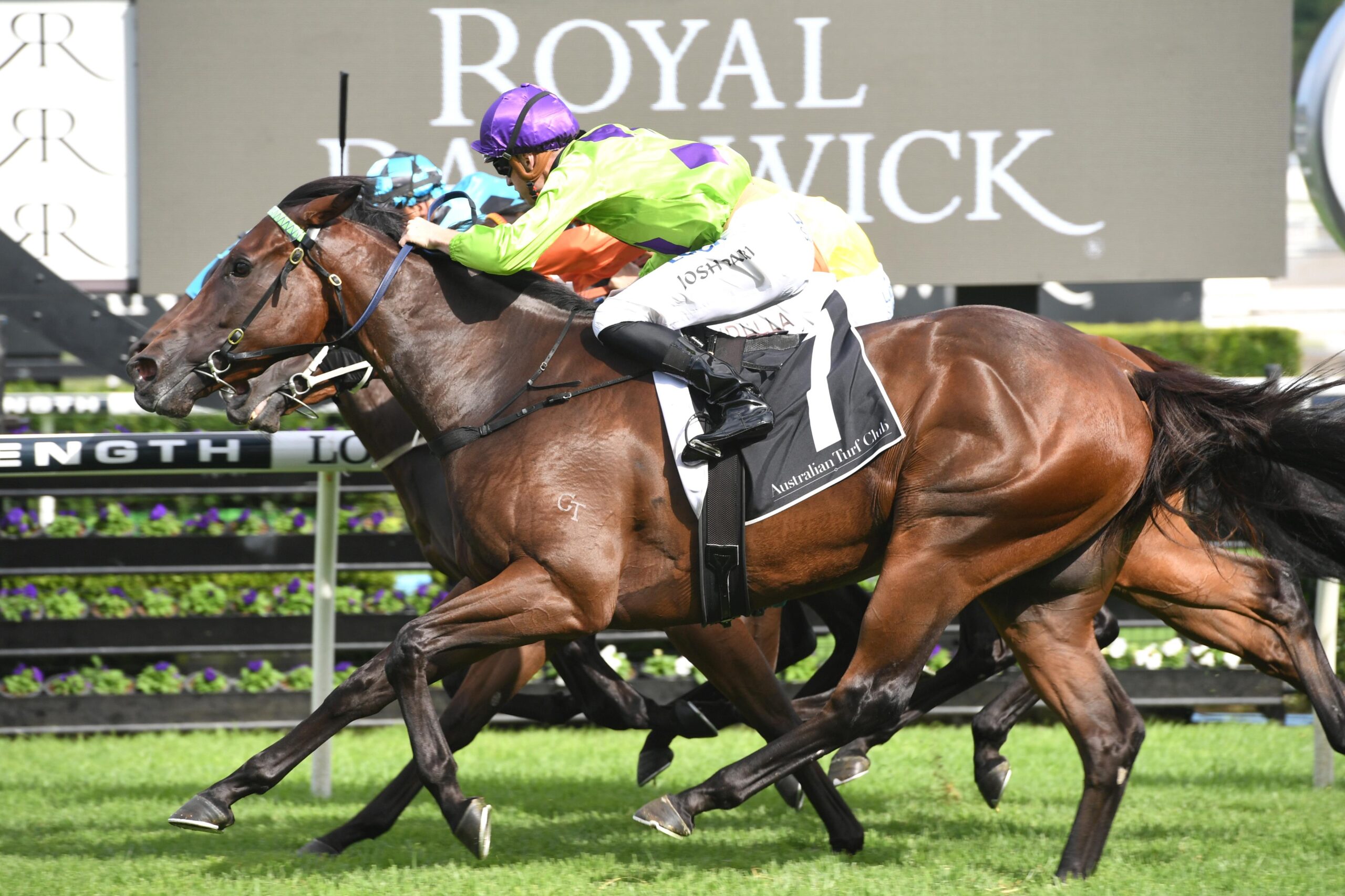 Nakeeta Jane ready for her biggest challenge of all - Racenet