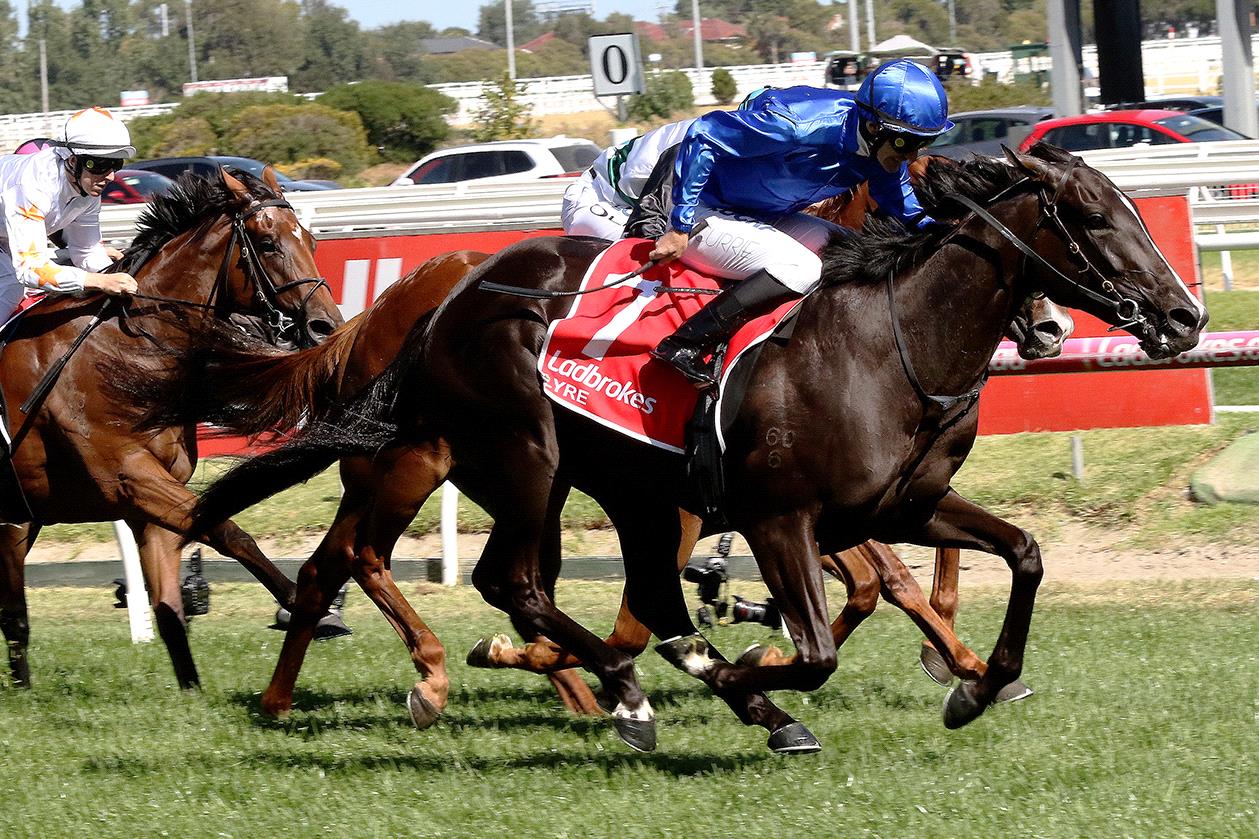 Golden Slipper not 'off the table' for Blue Diamond Stakes winner - Racenet