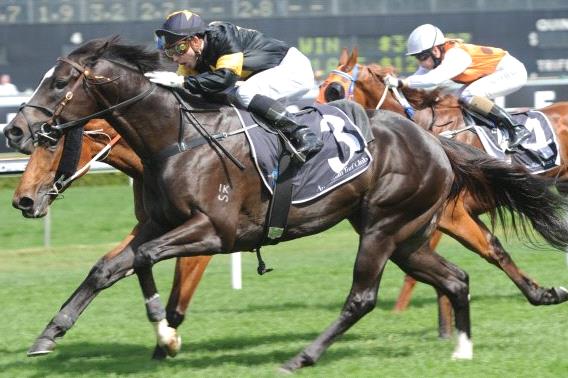 We'd better be ready for Better Than Ready - Racenet