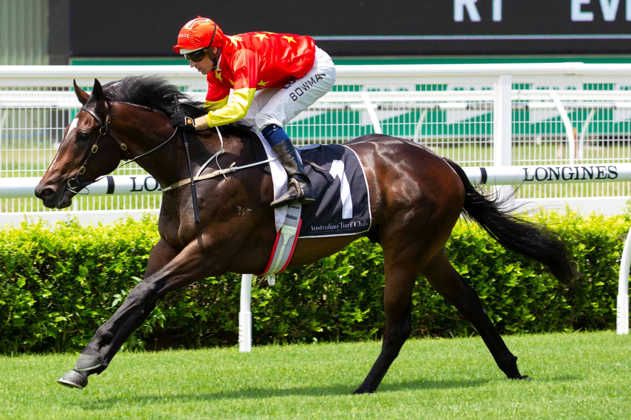 Snowden 2YO hightailing to the Gold Coast - Racenet