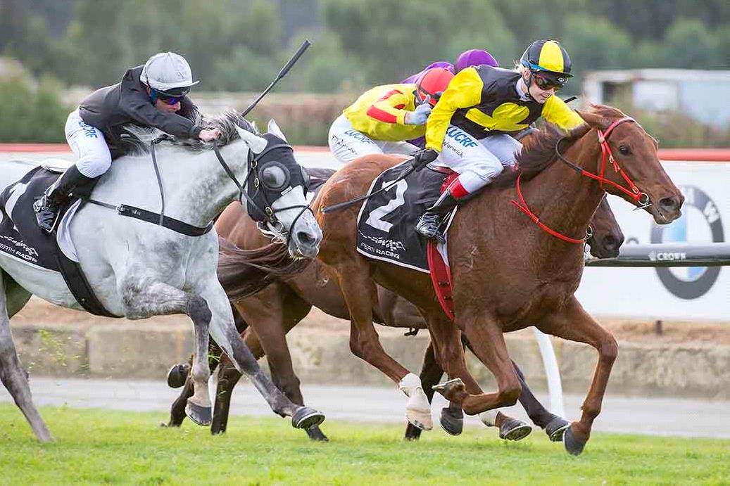 Material Man heads 2019 Perth Cup weights and Galaxy Star not to run ...