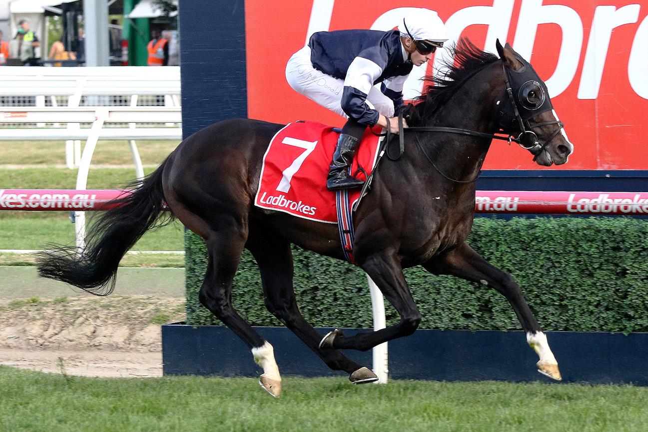 Yucatan one of 16 Zipping Classic entries - Racenet