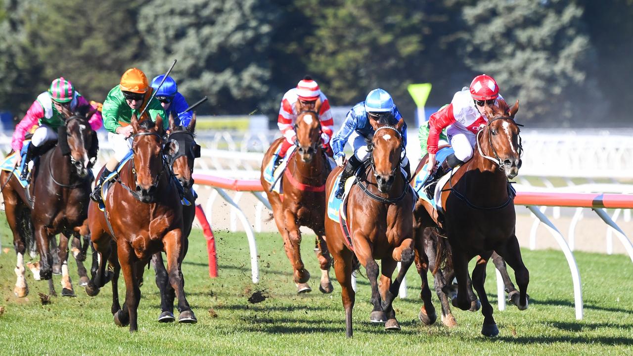 How a hungover priest inspired racehorse name - Racenet