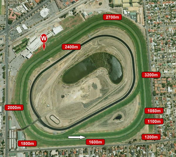 The Goodwood 2026 | Tips, Odds, Field & Results | Racenet