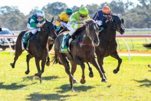 What is a First Four Bet? [How To Place a Bet & Win] | Racenet