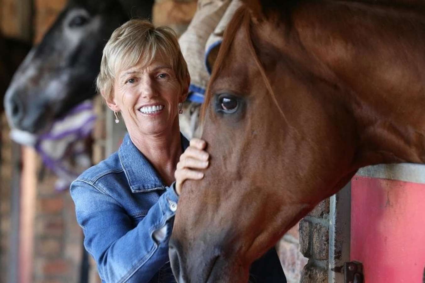 $2.8m yearling Mount Fuji sold to Gillian Heinrich - Racenet