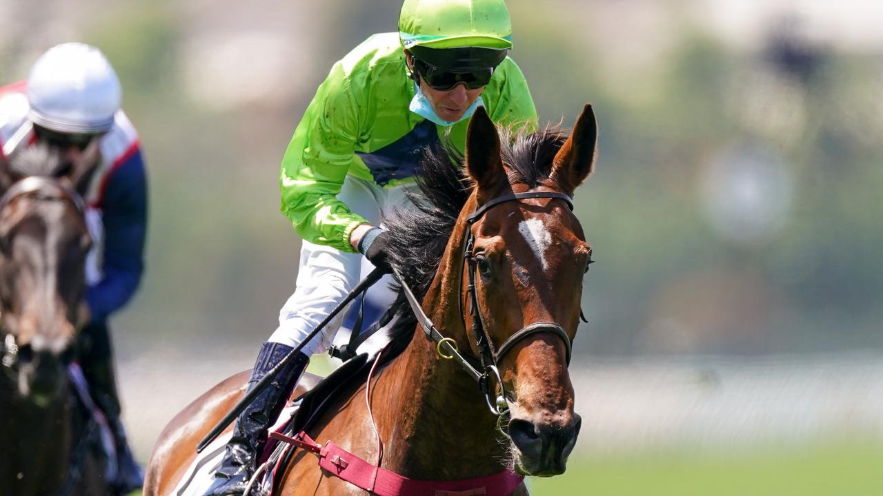 Rose starts road to Melbourne Cup at Caulfield - Racenet
