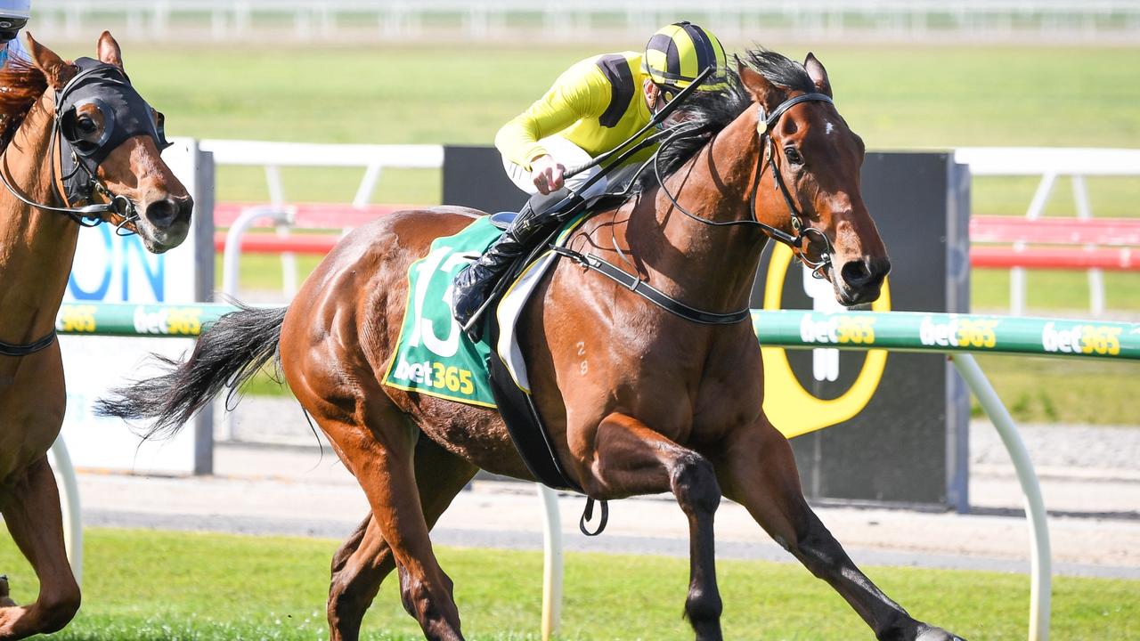 Hyland has Throw at Group stumps with aptly named horse - Racenet