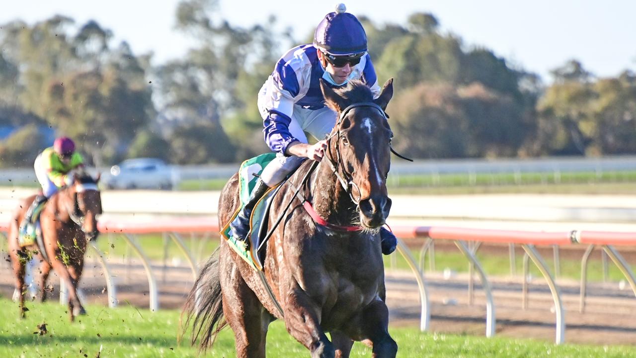 Echuca tips: Al can lead all the way - Racenet