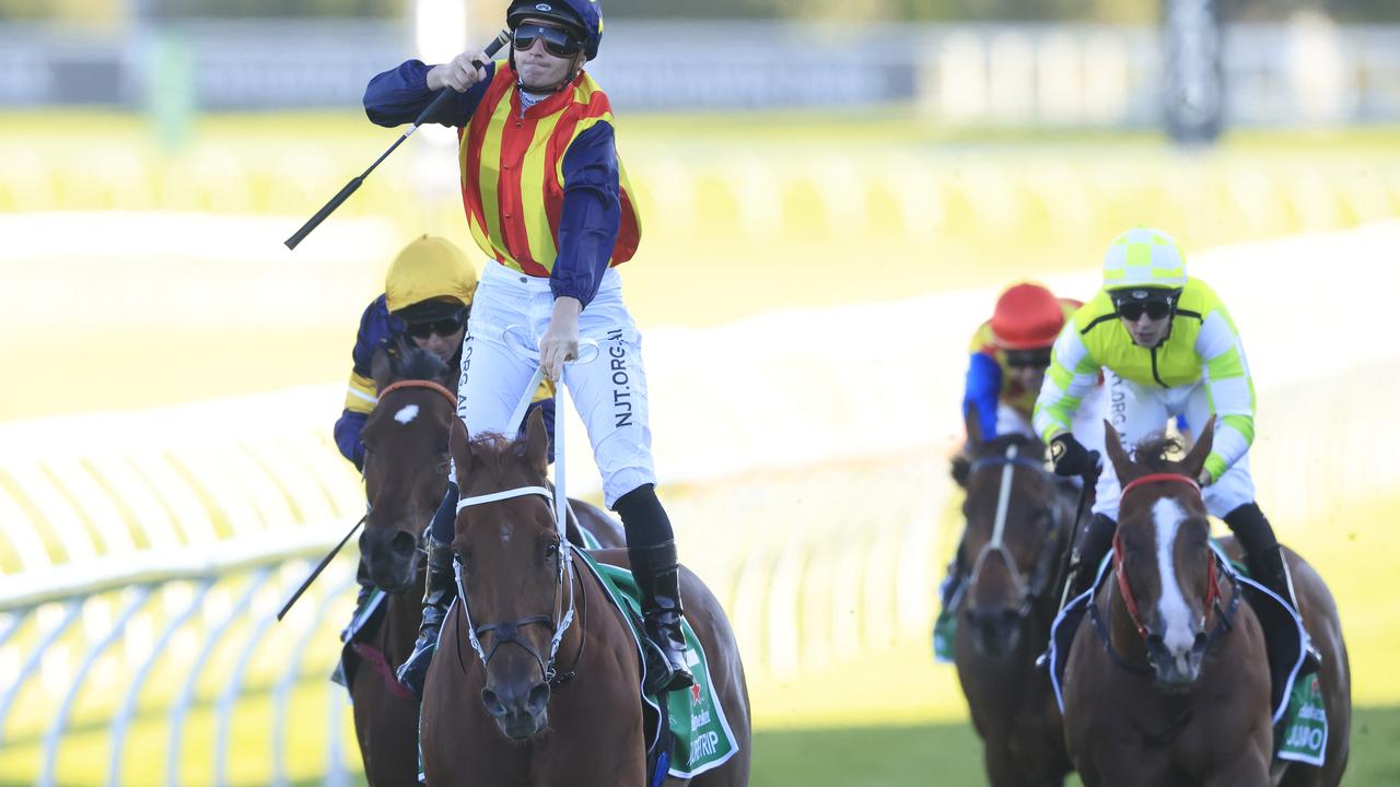Early preview: The Everest, Cox Plate favourites step out - Racenet