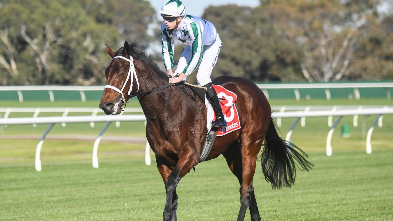 Sandown tips: Stokes has Designs on win - Racenet