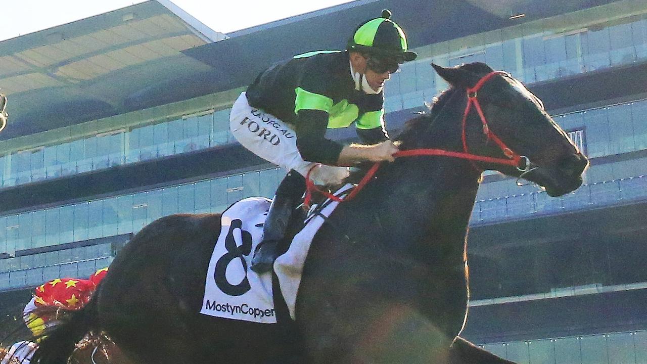Hard marker gives high praise for emerging spring star - Racenet