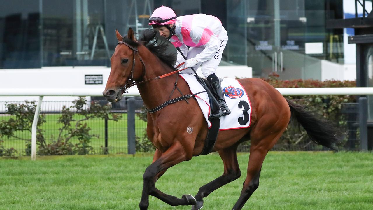 Smith daring to dream with Keiai Nautique in Turnbull - Racenet