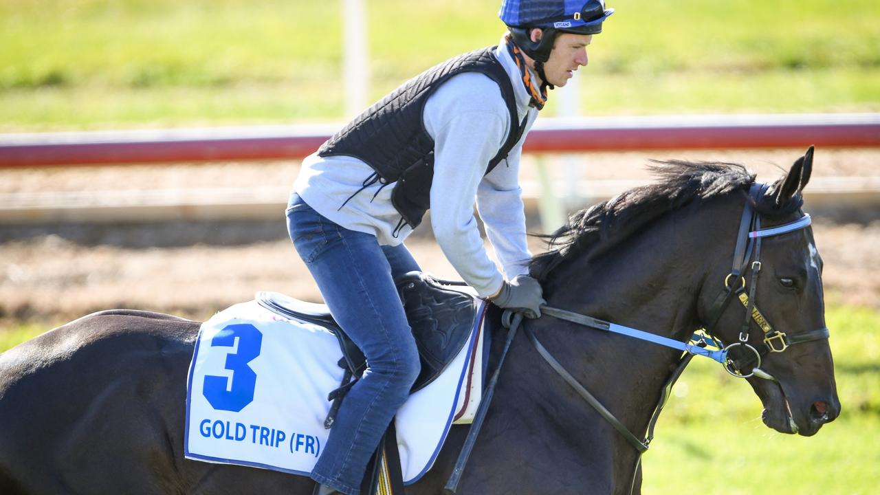 Gold starts next phase of Cox Plate Trip - Racenet