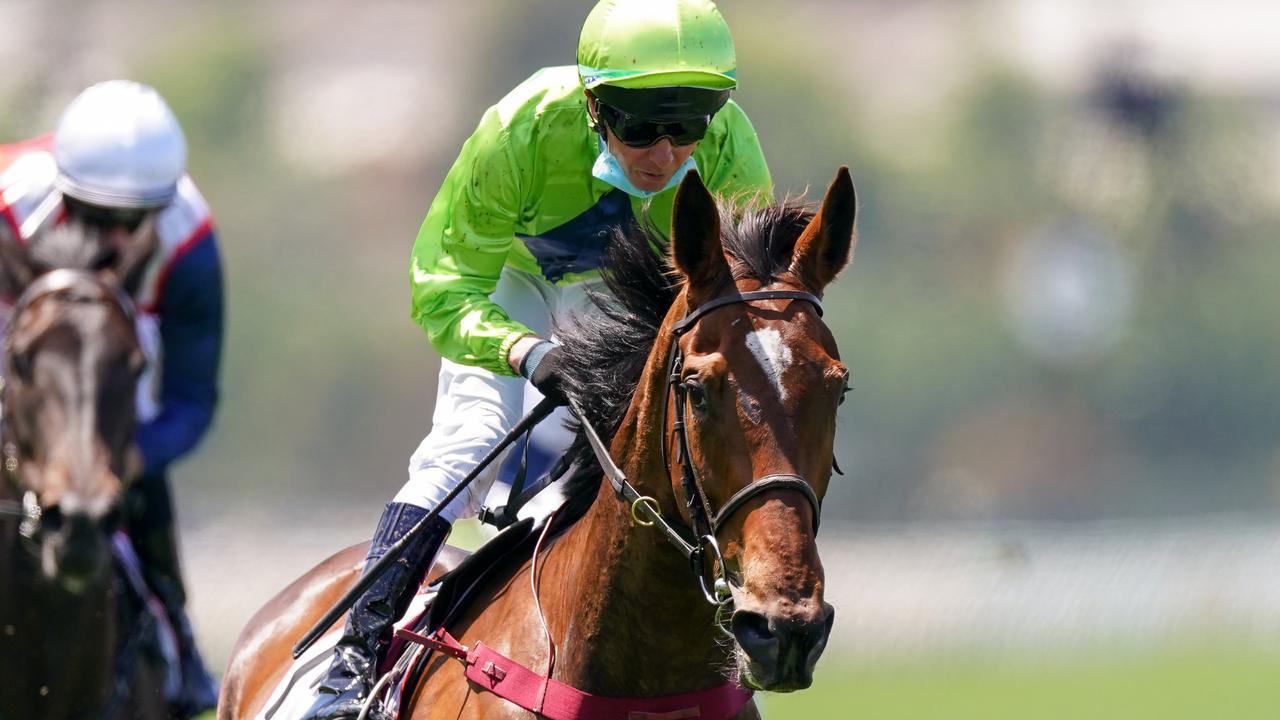 Wilde's Rose ready to bloom at Flemington - Racenet