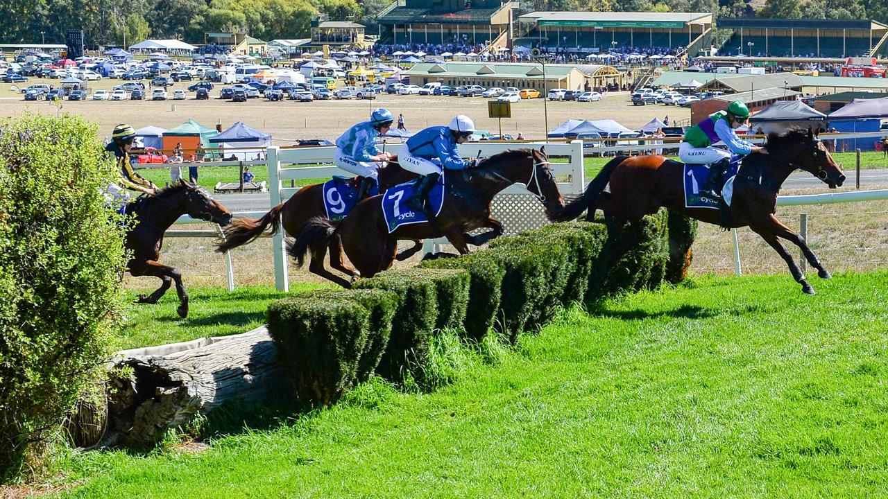 RIP: South Australian jumps racing - Racenet