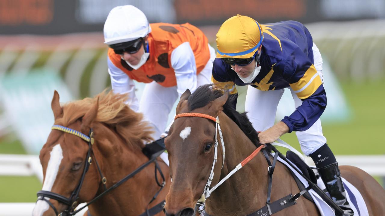 Masked Crusader ‘does a Chautauqua' to win Premiere - Racenet