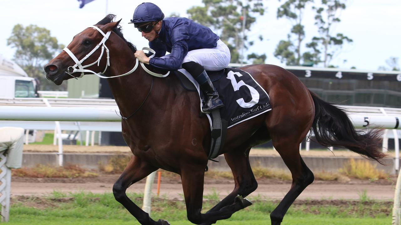 Waller: Spring Champion not a two-horse race - Racenet