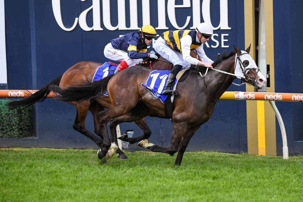 Toorak Handicap 2022 | Tips, Odds, Field & Results | Racenet