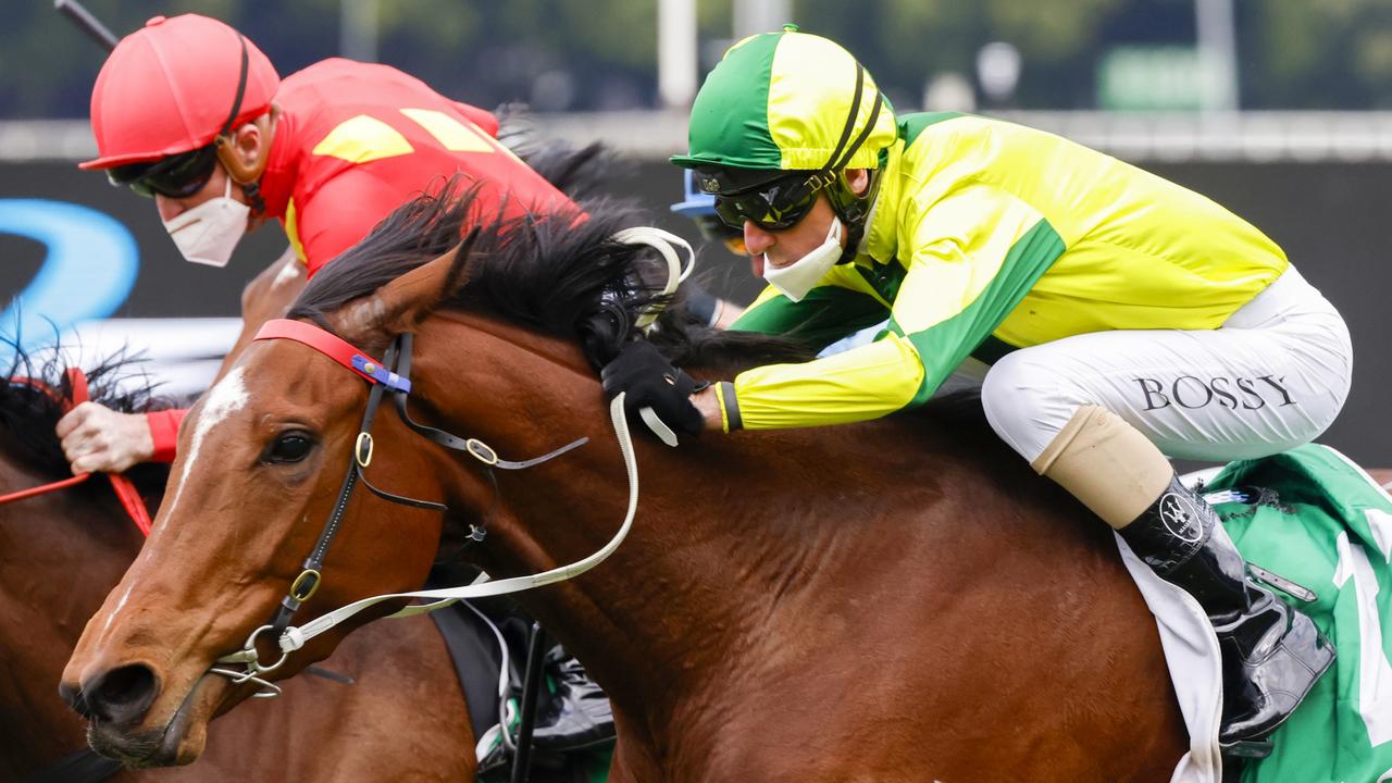 Beer is confident Ruby is ready to shine in Kosciuszko - Racenet